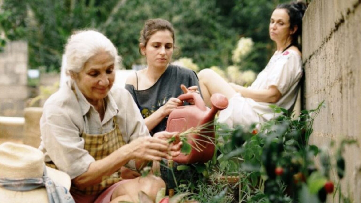 'Malu', filme com Carol Duarte, Yara de Novaes e Juliana Carneiro da ...