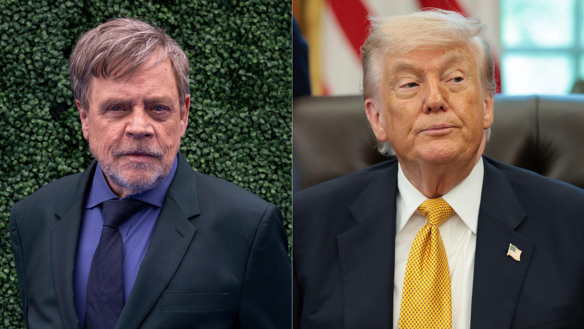 Mark Hamill Posta Imagem De Trump Morto Mas Apaga Após Reação Da Casa